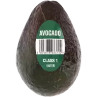 Checkers | Specials & Catalogues - August 2024 | Tiendeo